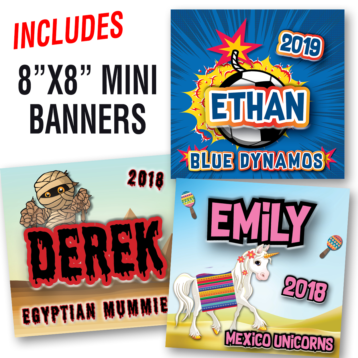 Sport Team Banner 3×6 – with Individual Mini Banners | Ad America Group